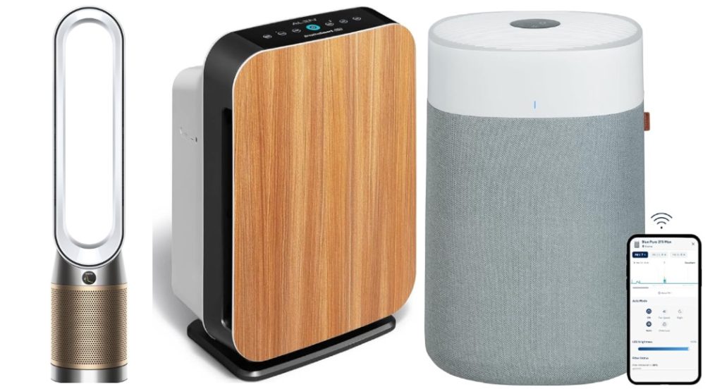 ECOSELF Smart Air Purifier Review: Breathe Easy with Advanced ...