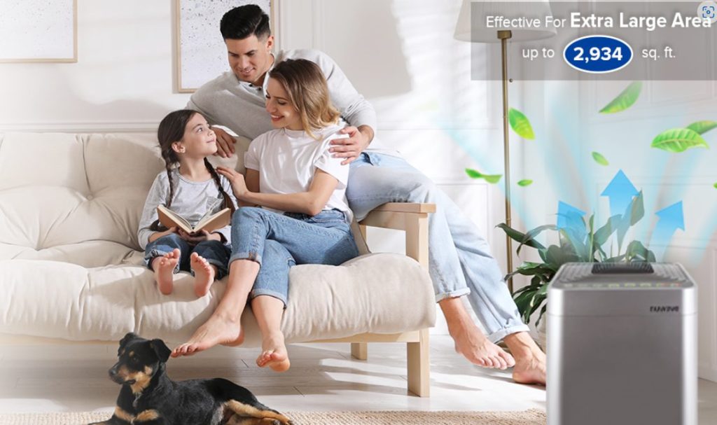 ECOSELF Smart Air Purifier Review: Breathe Easy with Advanced ...